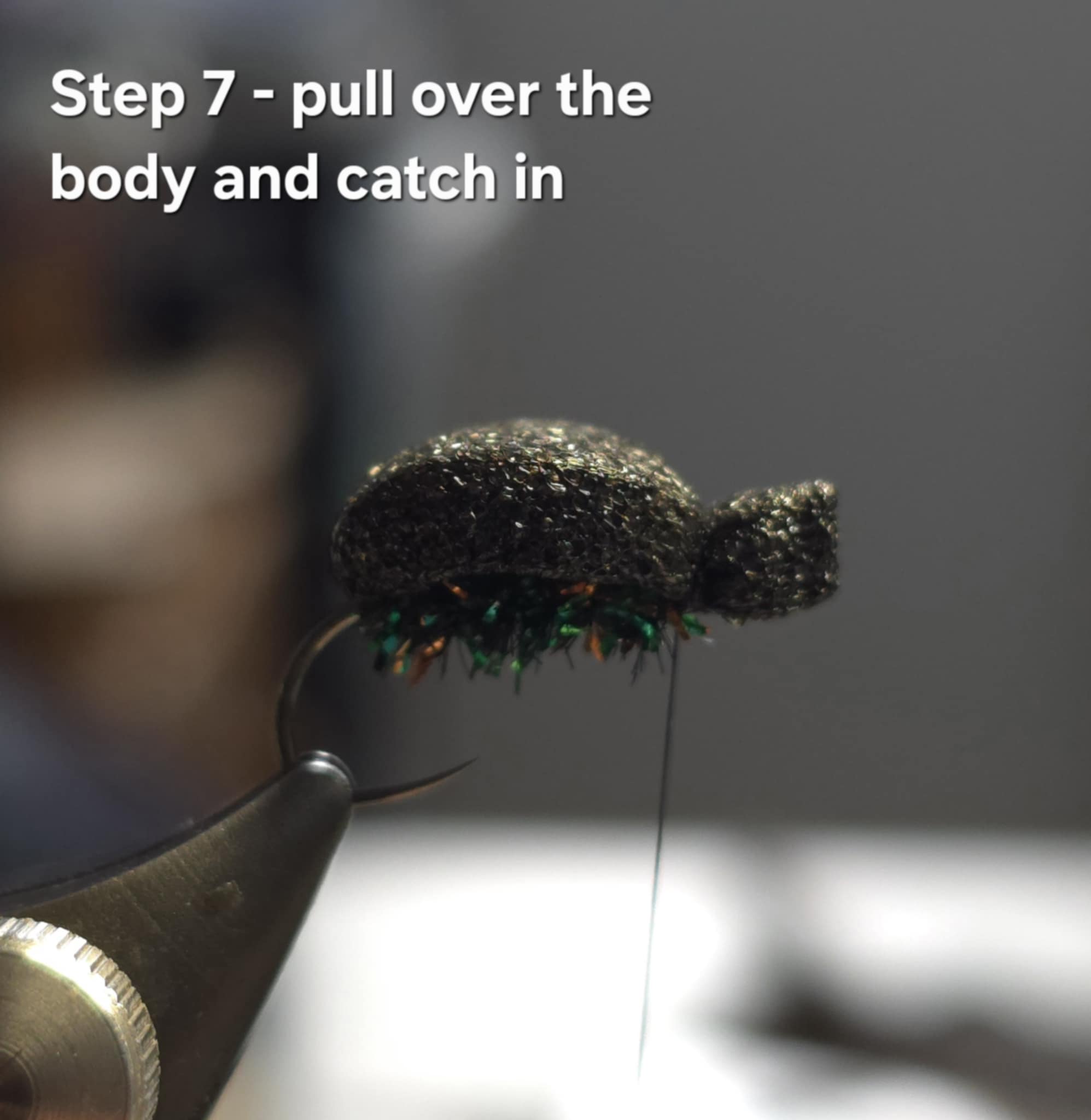 Realistic Beetle Fly Step By Step - semperfli.net