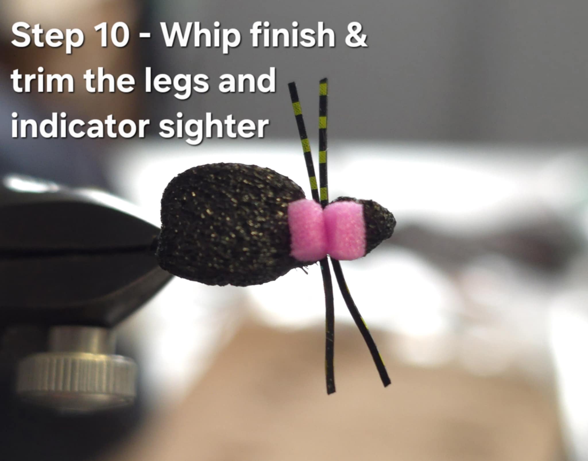 Realistic Beetle Fly Step By Step - semperfli.net