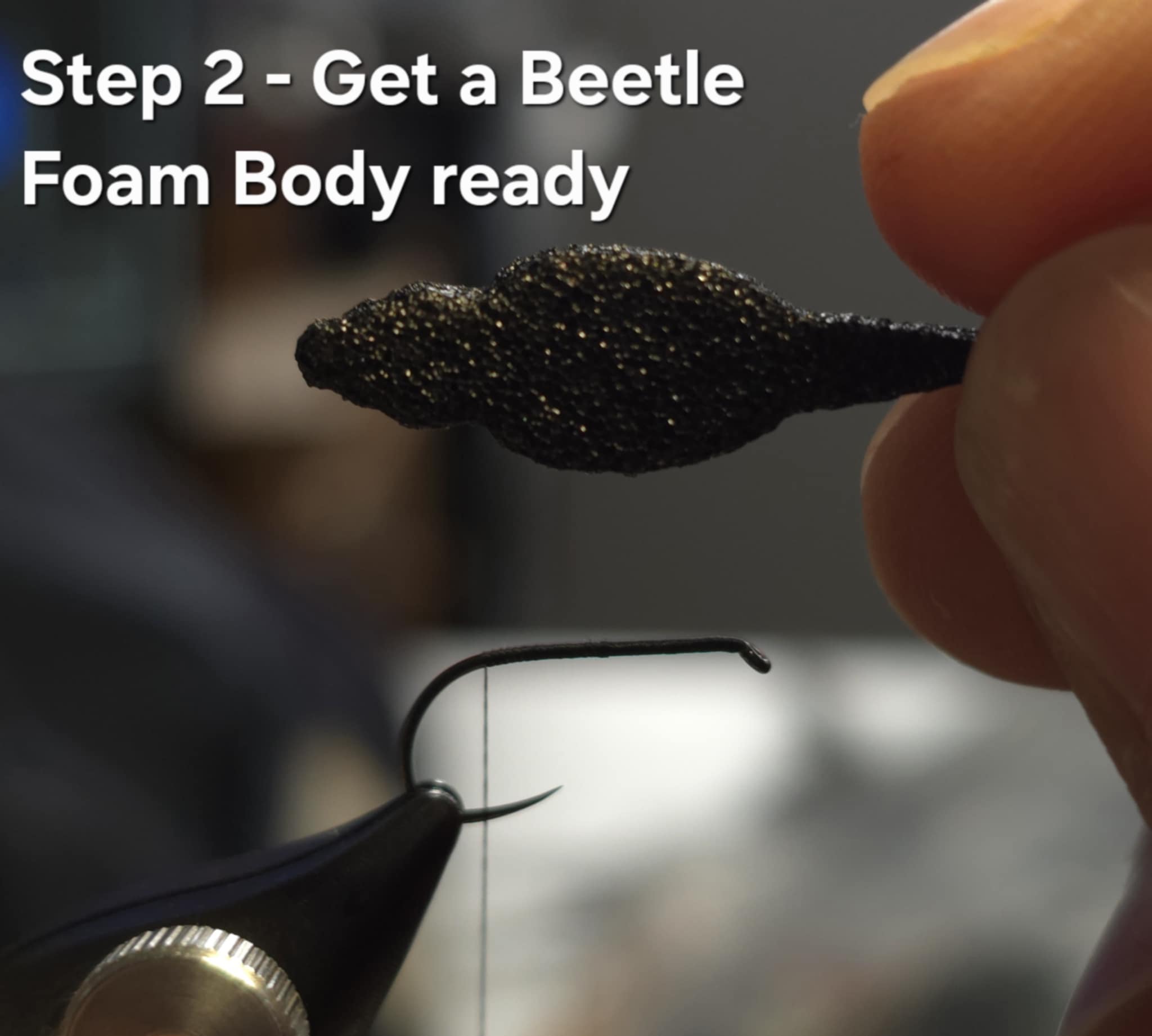 Realistic Beetle Fly Step By Step - semperfli.net