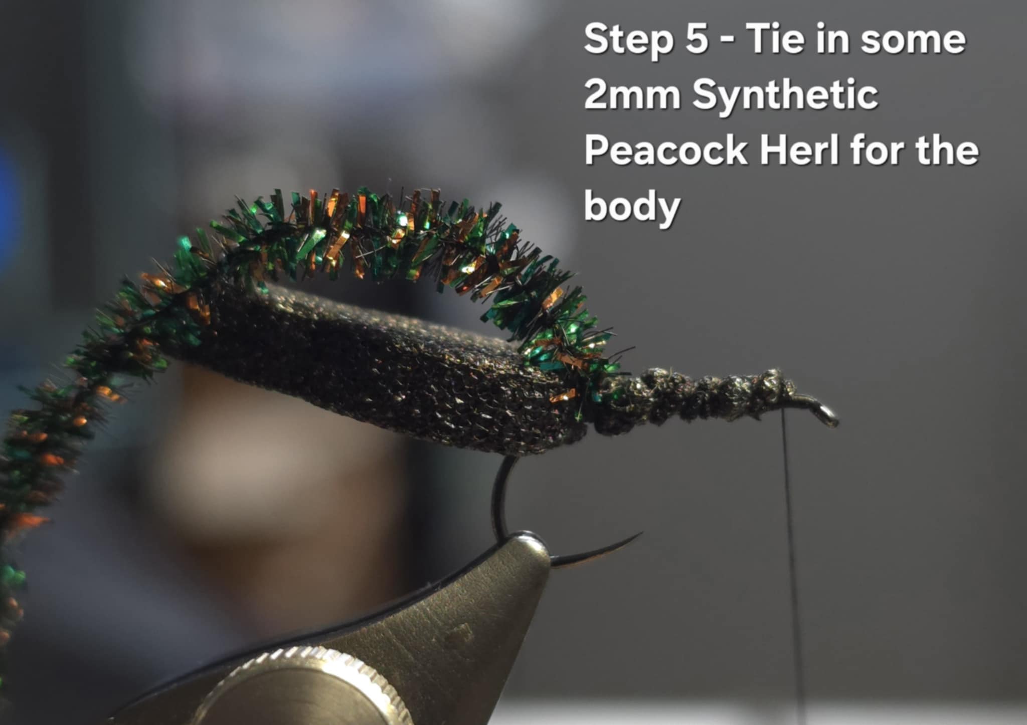 Realistic Beetle Fly Step By Step - semperfli.net