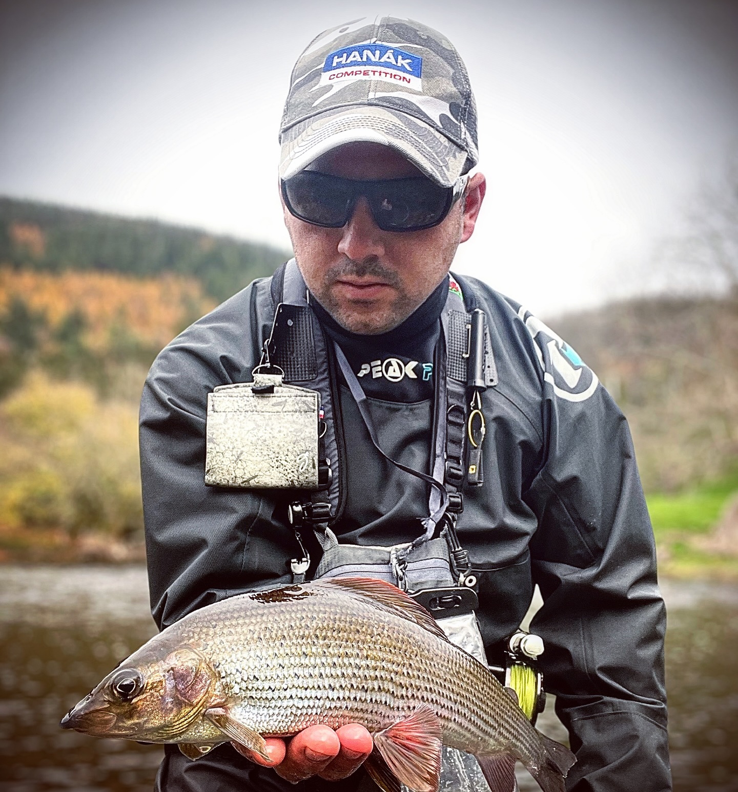 Semperfli Pro Team - semperfli.net