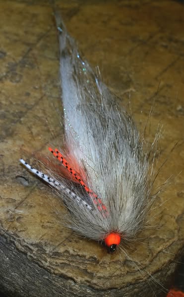 Rainbow Trout Snack! - semperfli.net