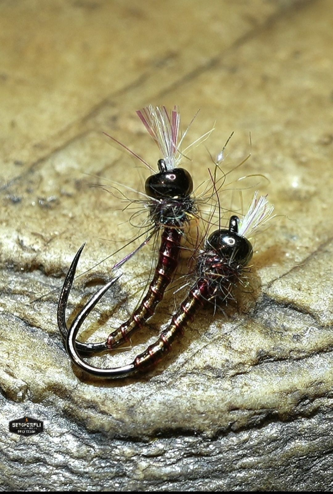 Chironomids - semperfli.net