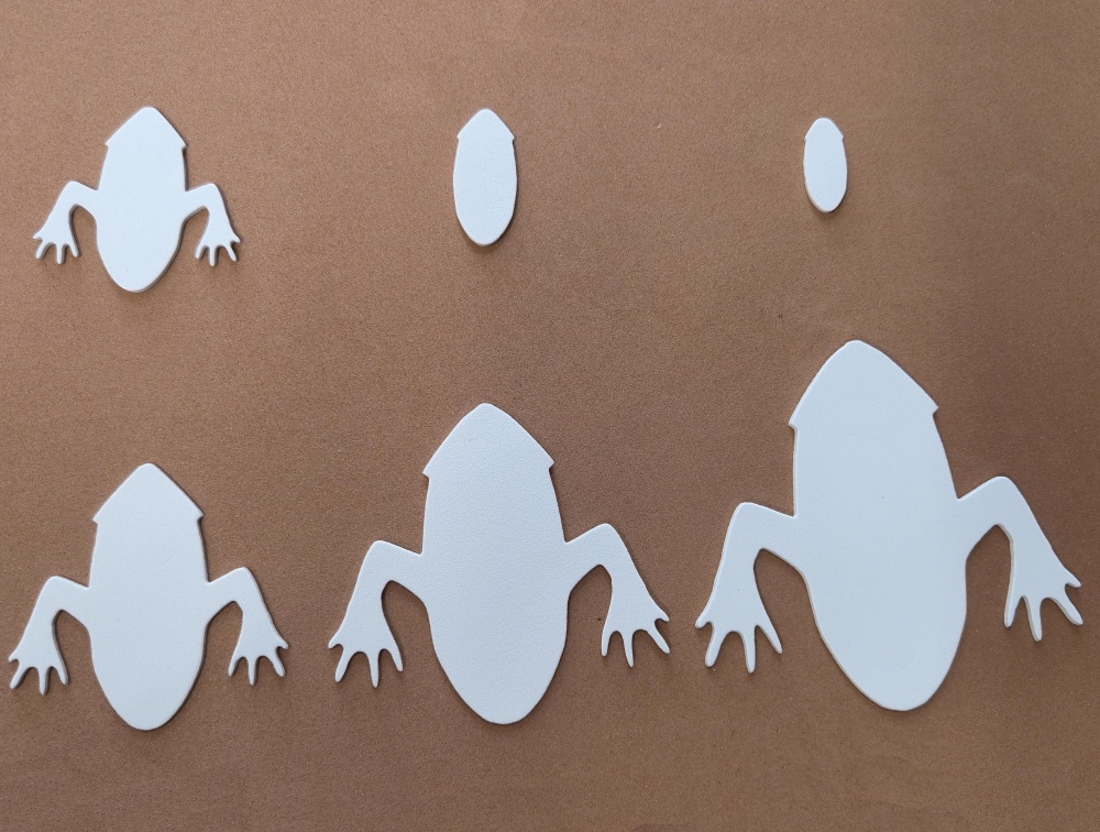 ABC Complete Frogs Kit - semperfli.net