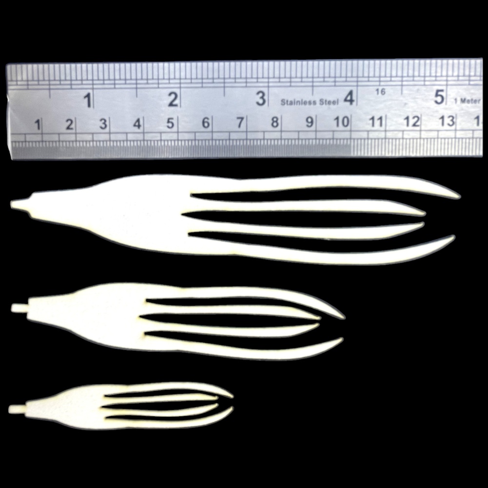 ABC Squid Tails - semperfli.net